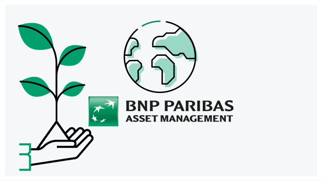 Yellow made | BNP Asset Management